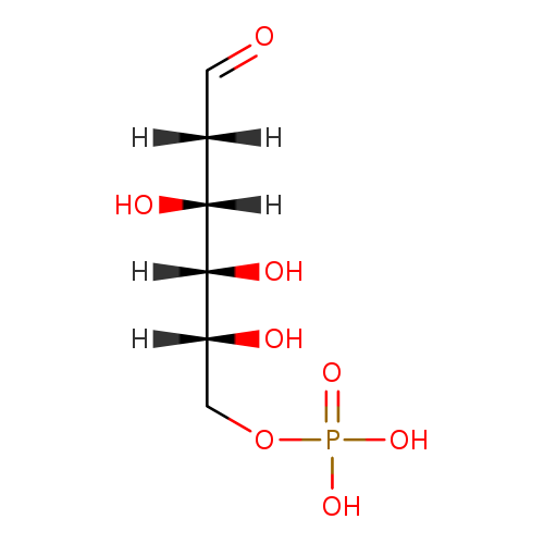 Glucose 6 Phosphate Structure