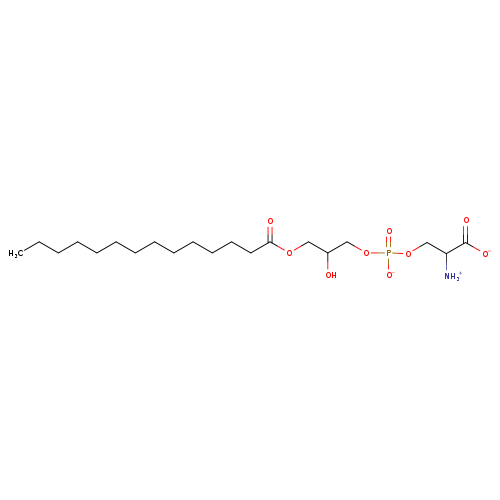 Lysolipid incorporation into Mitochondria PC(14:0/14:0) - Yeast Metabolome Database